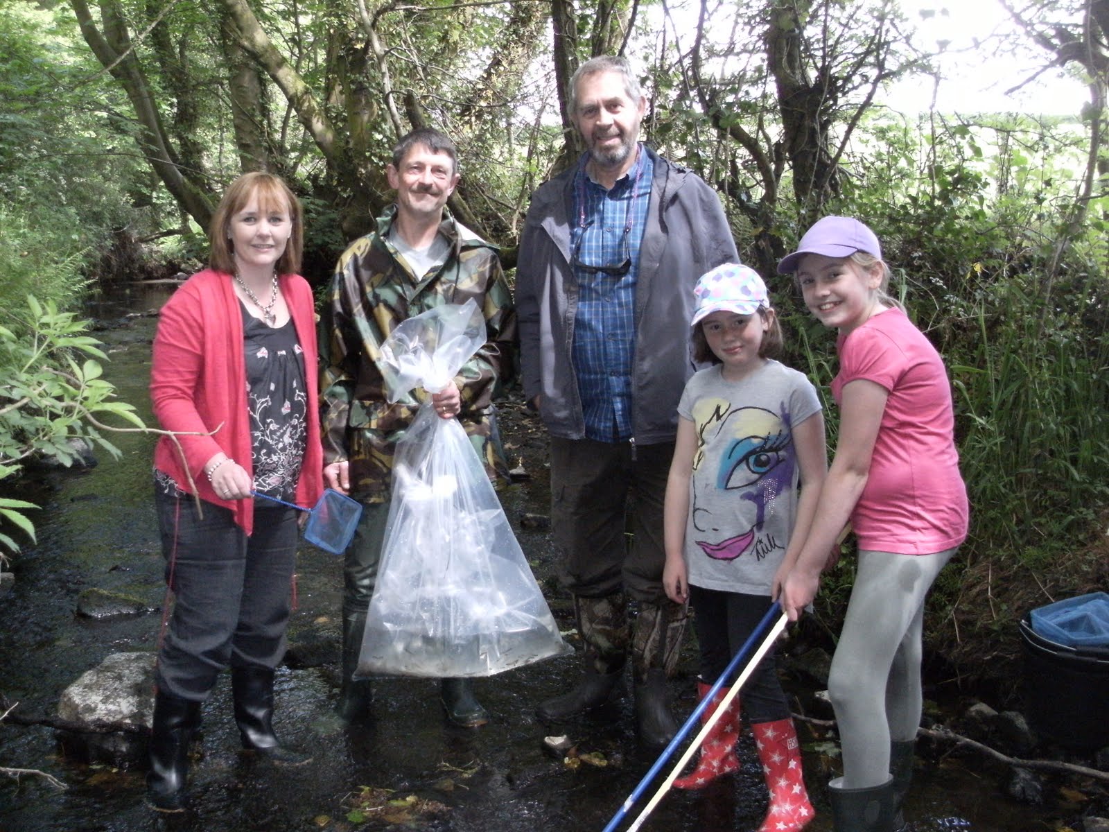 ADSEA Strangford Lough Sea Trout Project: Sea trout fry released in ...