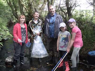 ADSEA Strangford Lough Sea Trout Project: Sea trout fry released in ...