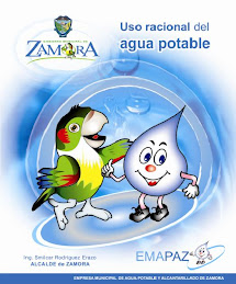 GOBIERNO MUNICIPAL DE ZAMORA