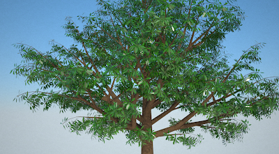 My computer generated world: Large 3D trees for SketchUp now ready for ...
