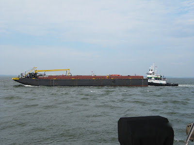 The Adventures of Gypsies in the Palace: Movin' On Up