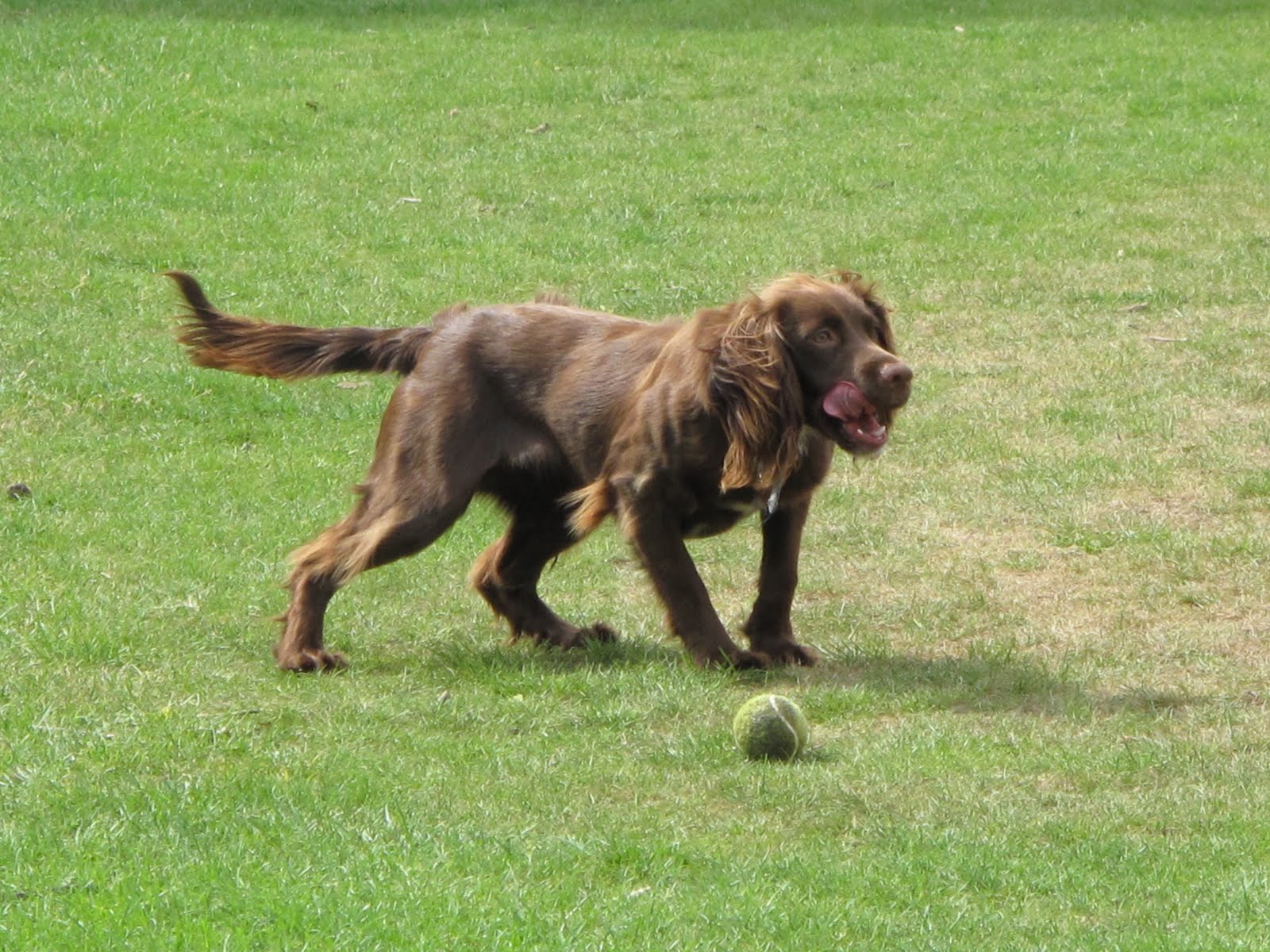 3 months in England - Tandy Graham/photos by John Graham: 5/30 Off to ...