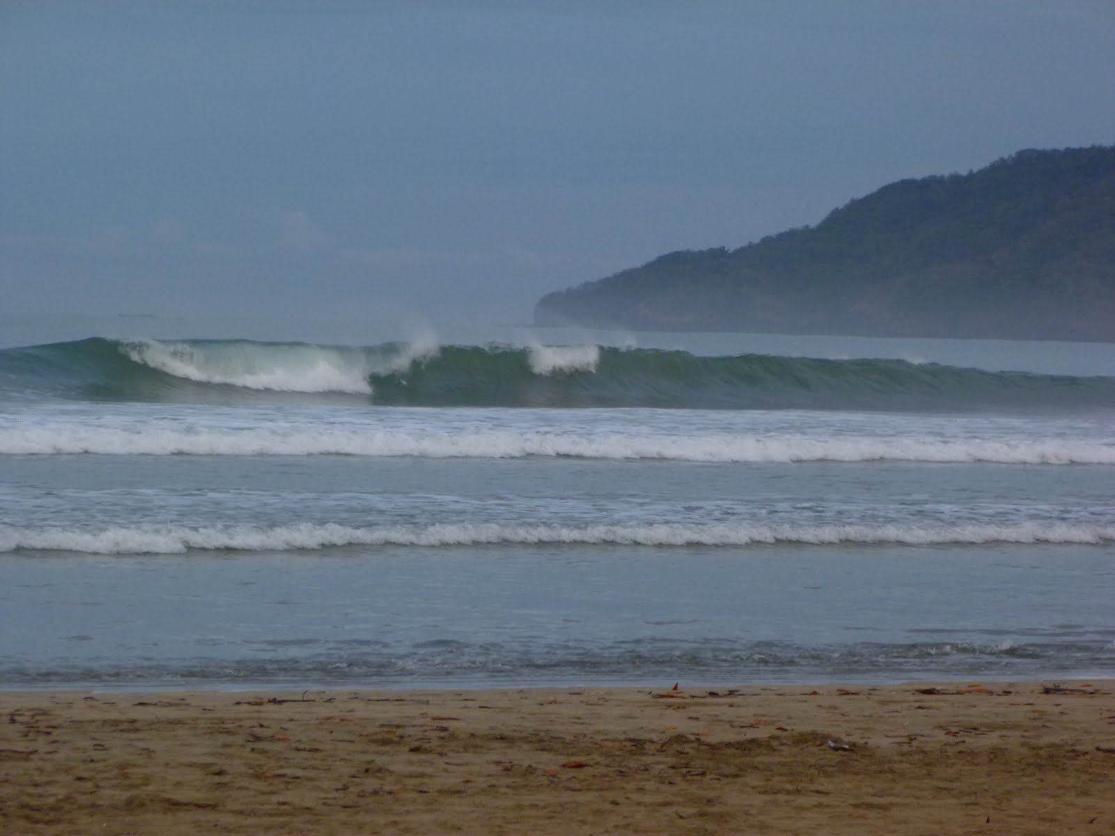 Tamarindo Surf Report - Costa Rica: Sunday, January 9th 2010