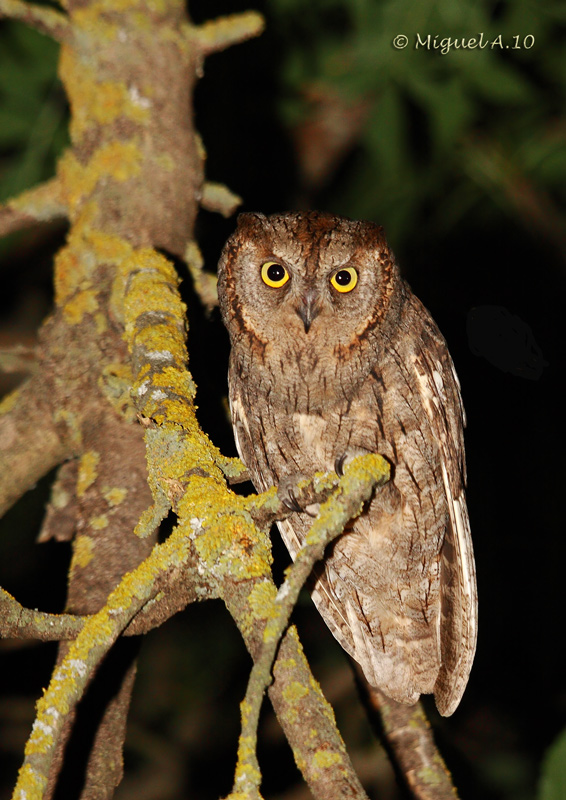 IMÁGENES DE NATURALEZA