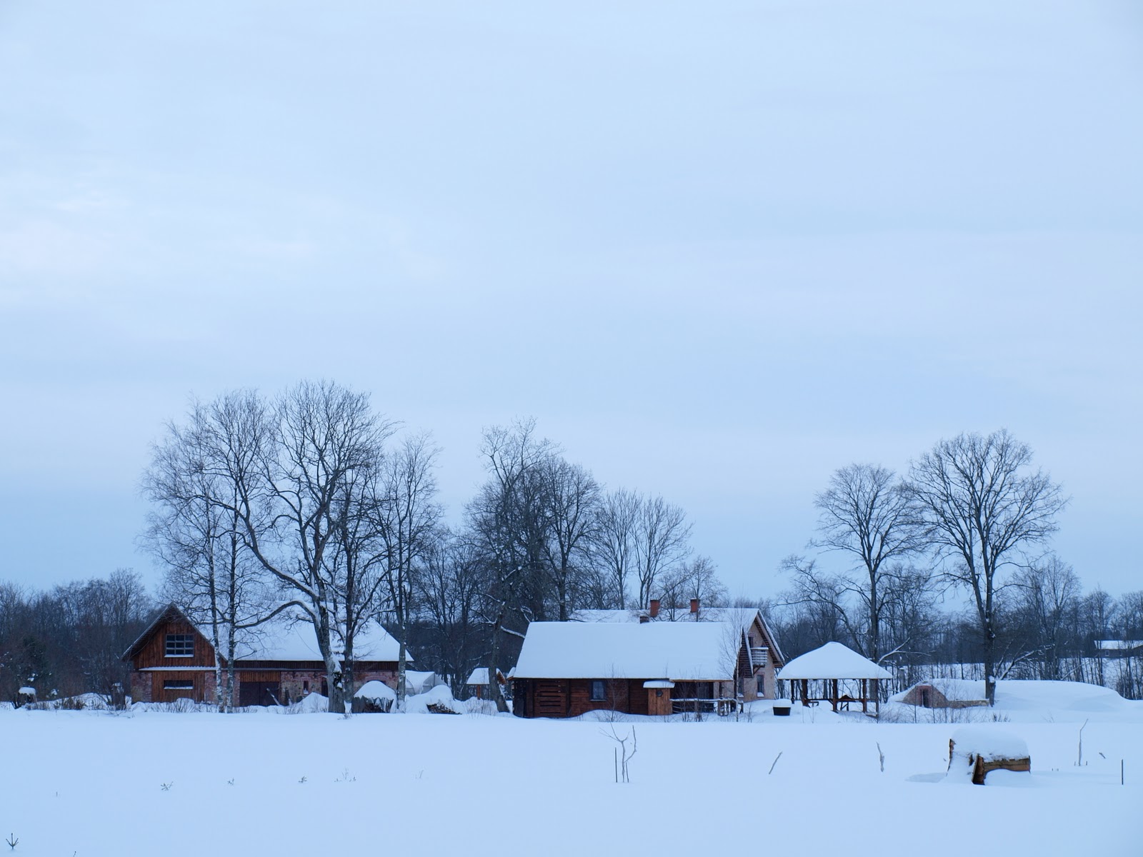 Ziema - PhotoBlogSite