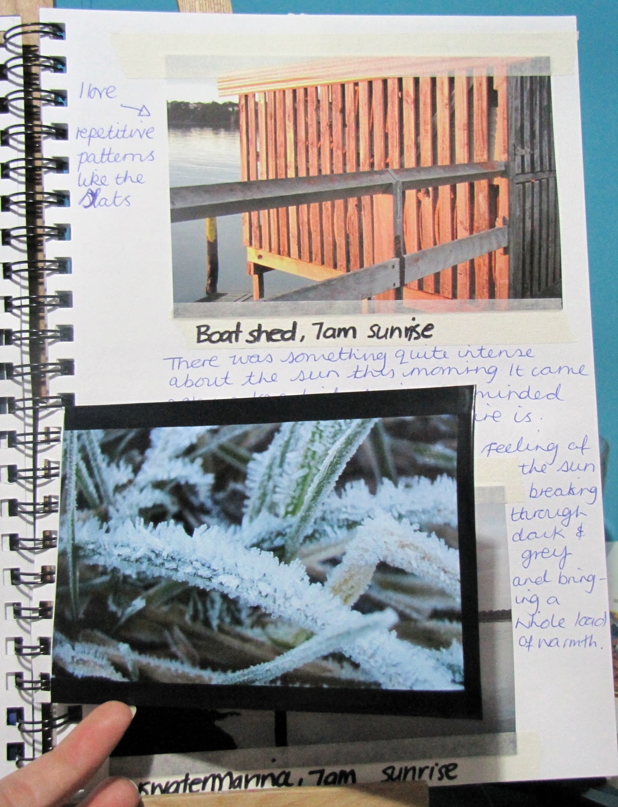 Riz Made This: Photography journal