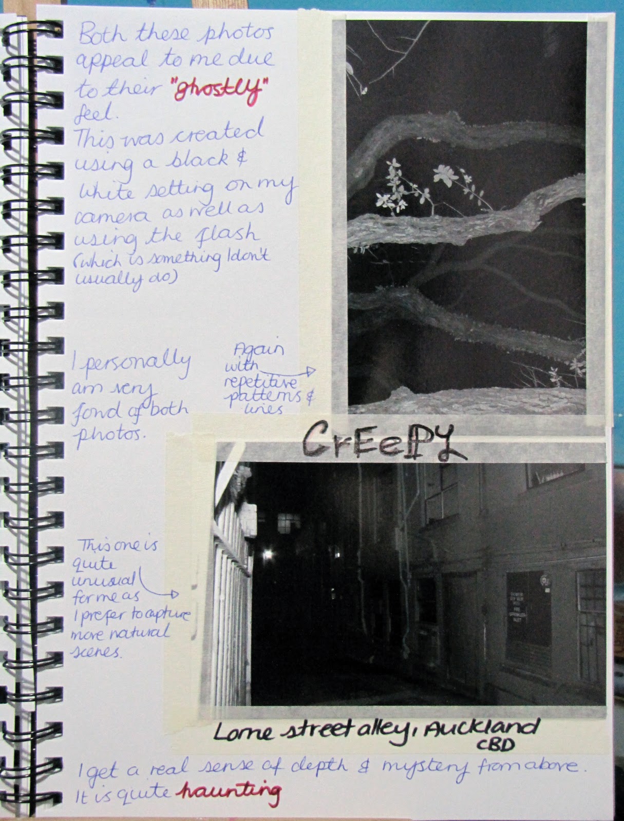 Riz Made This: Photography journal