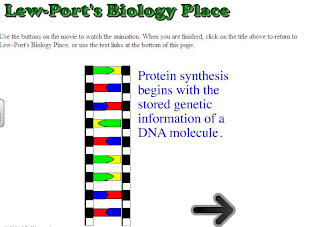 Ardito Science 2009: Protein Synthesis Animation