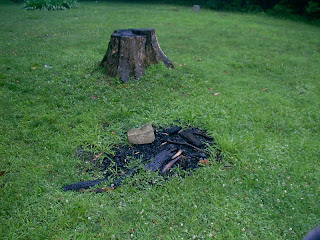 Indiana-Man's Journal: Haunted Indiana 2: Stepp Cemetery & 100 Step ...