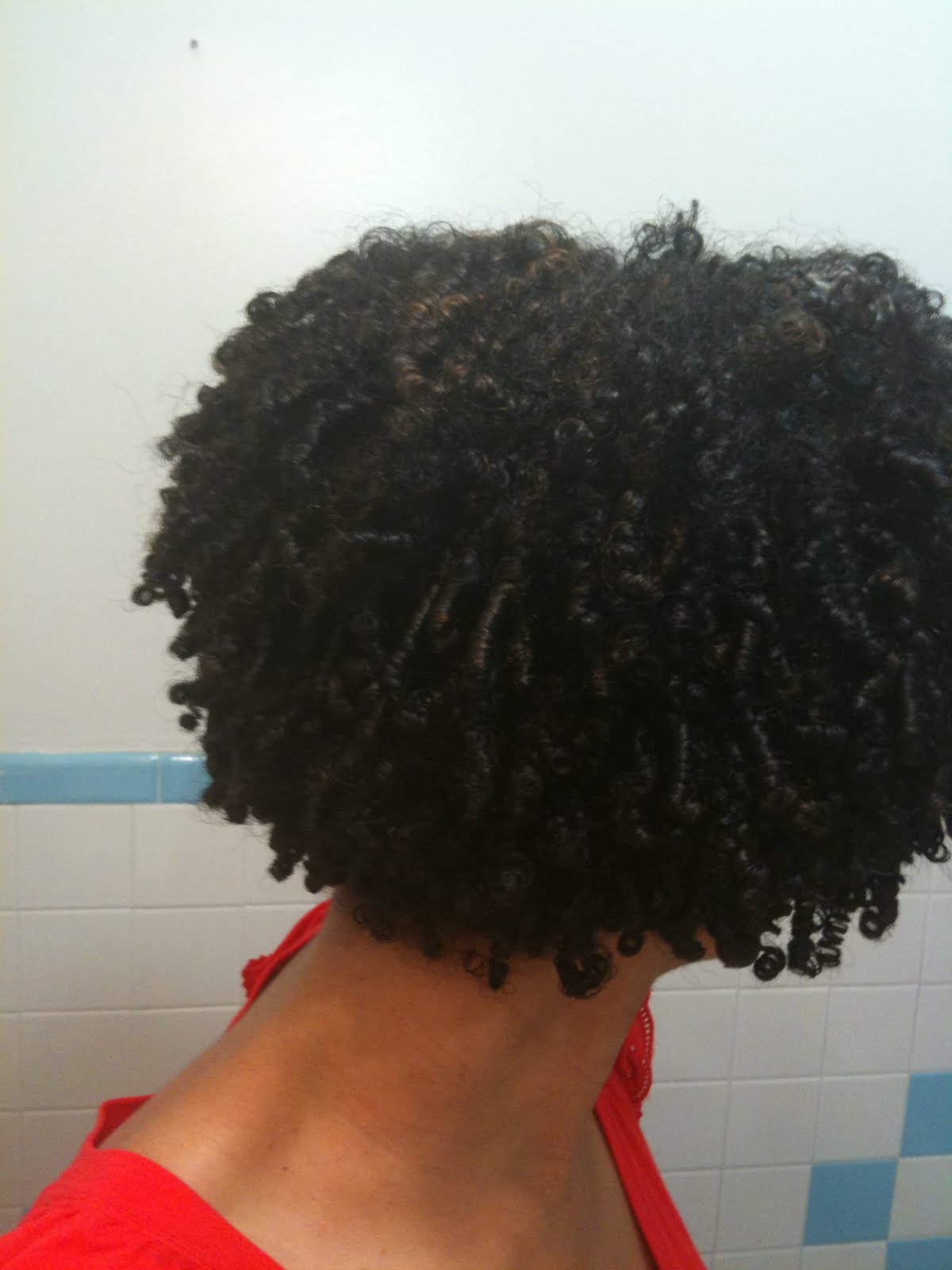 It's Just Hair: More on shingling with Ecostyler- vid-n-results