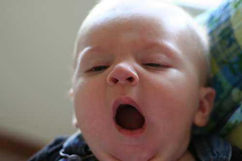 Lesley Paul V.J.'s Blog: Why Do we Yawn and What are The Reasons