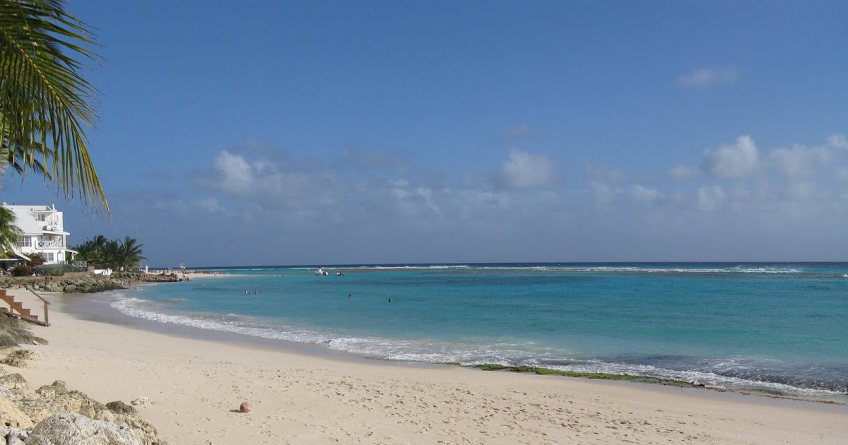 ŞİMDİ GEZELİM: Reggae bus ( Barbados )