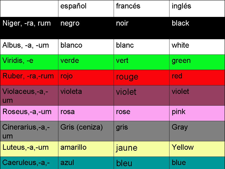 LATIN LEÓN FELIPE: Colores. Colors.Colours