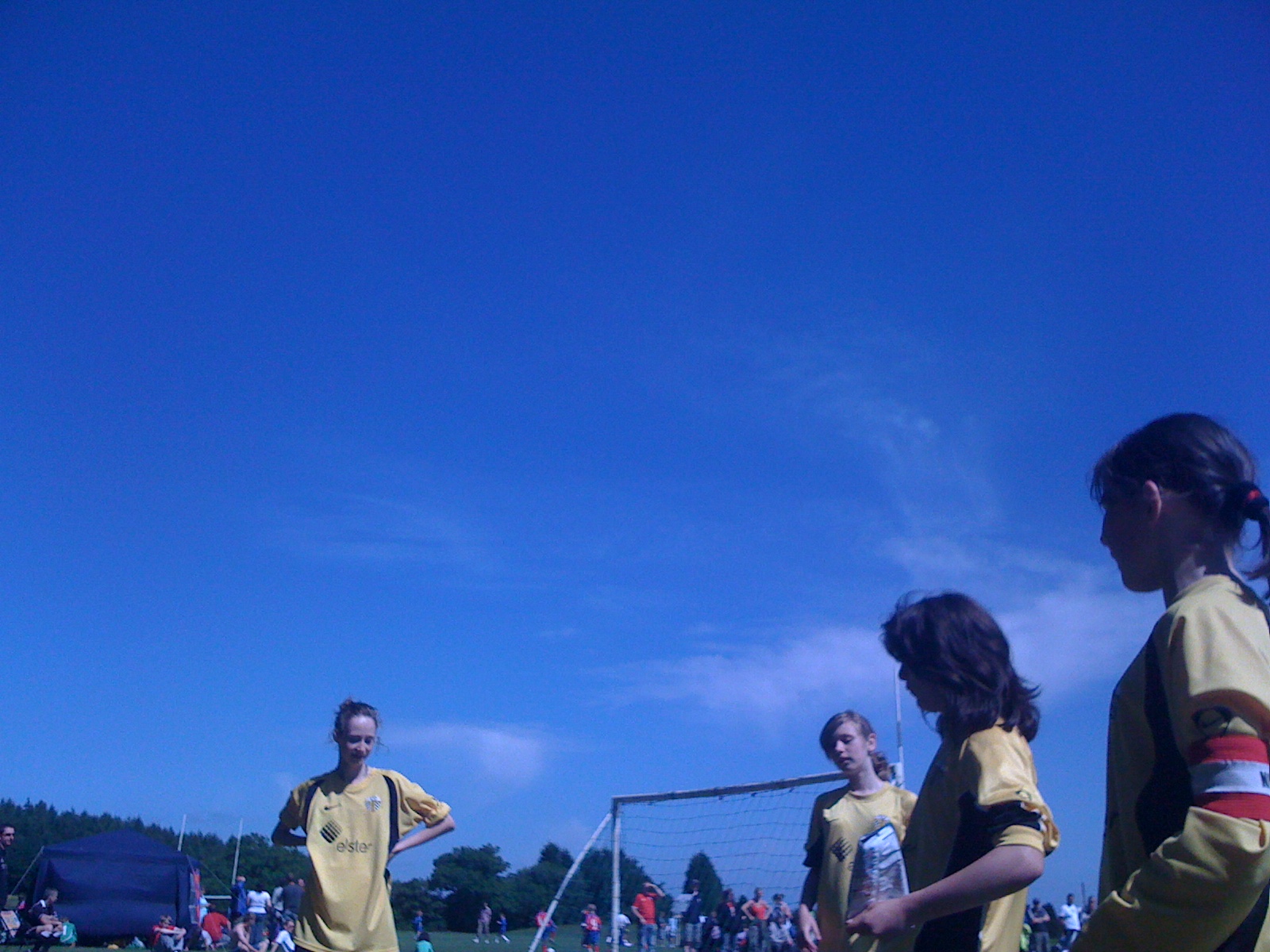 afc waverton: June 2010