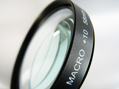 Fototastic: Macros With Canon 450D