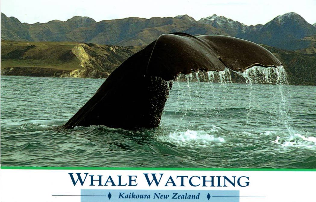 Amazing World Adventures: October 2010