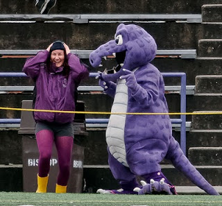 Stades de la LFUQ: Le Coulter Field | Allez les Bleus!
