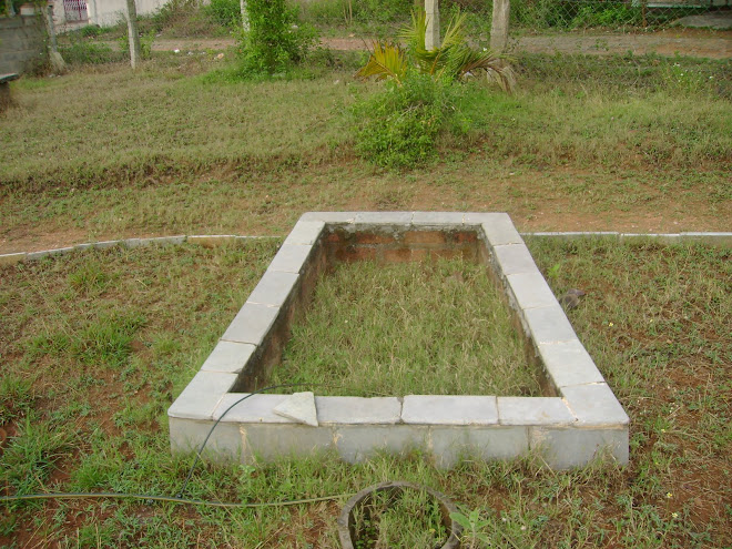 Navagrahavana: Navagraha Vana