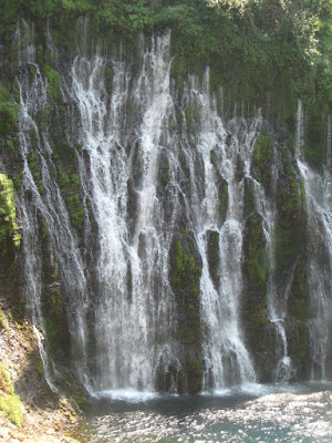 The Chocolate Fish: Bernie Falls