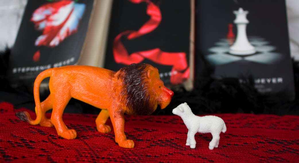 Sweetie Cheeks: My First Post! Yay! : Twilight Saga Eclipse Birthday Party!