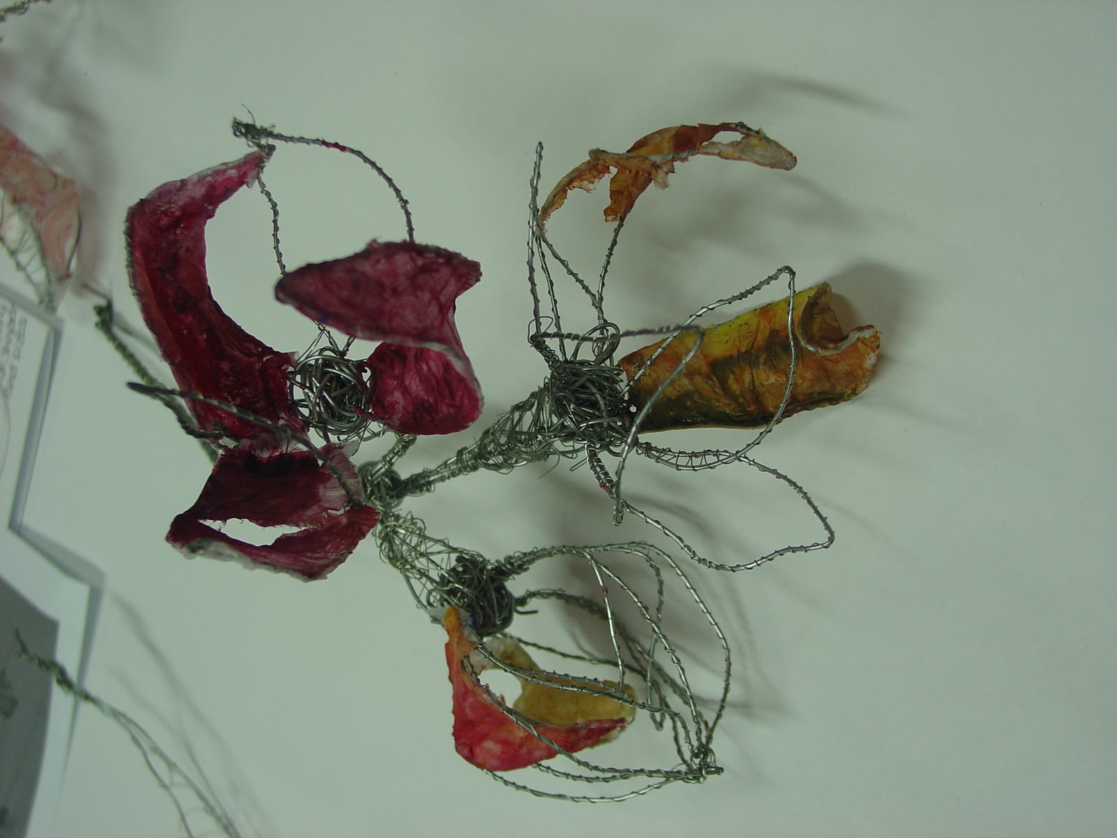 Portfolio: Natural form Final piece