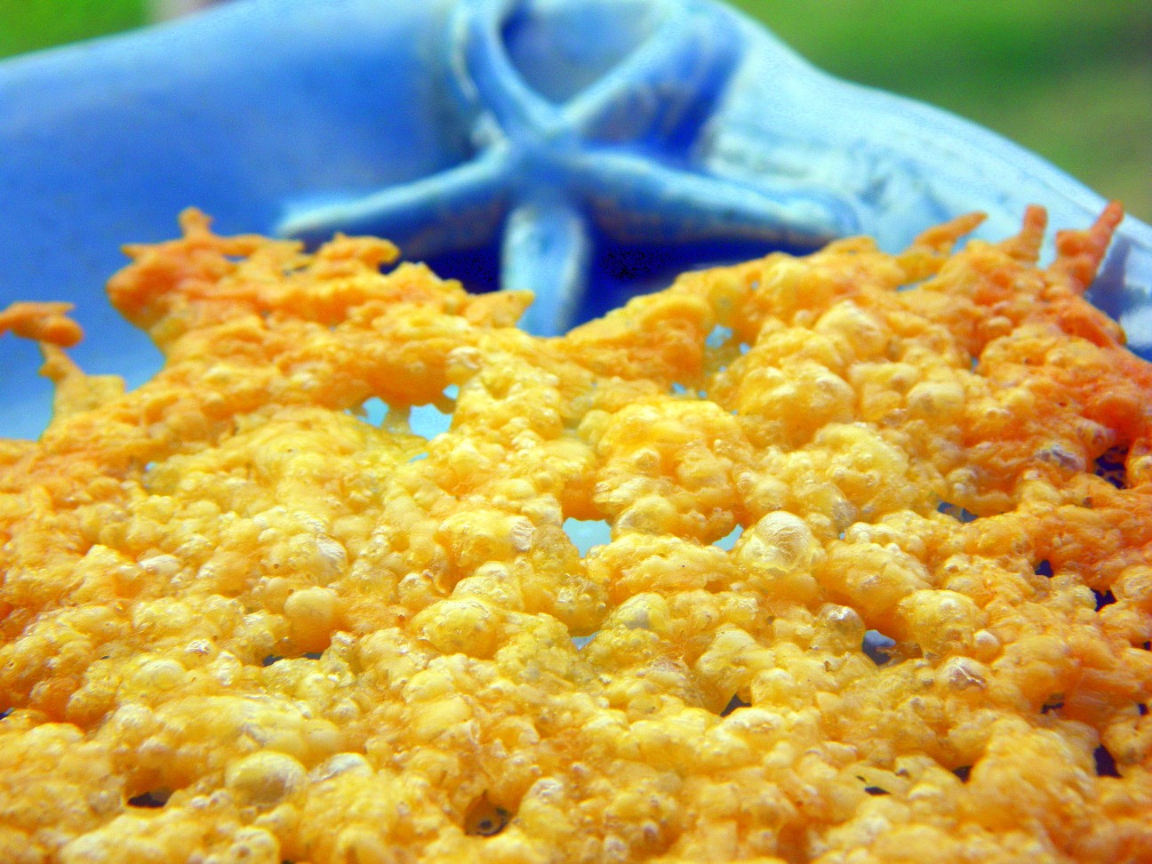 52 Ways to Cook: Basil Parmesan Crisps 52 Appetizer Recipes