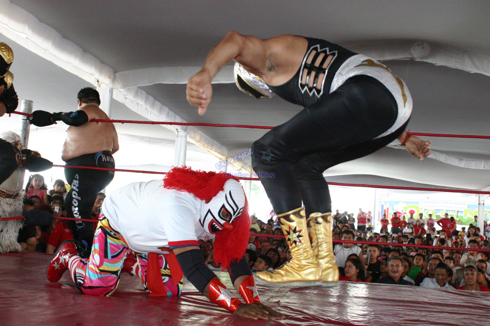 Alushe - JungleKey.es Imagen #50