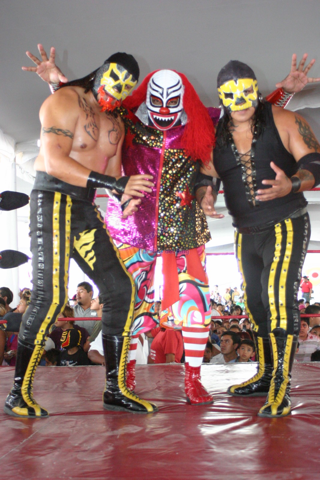 Alushe - JungleKey.es Imagen