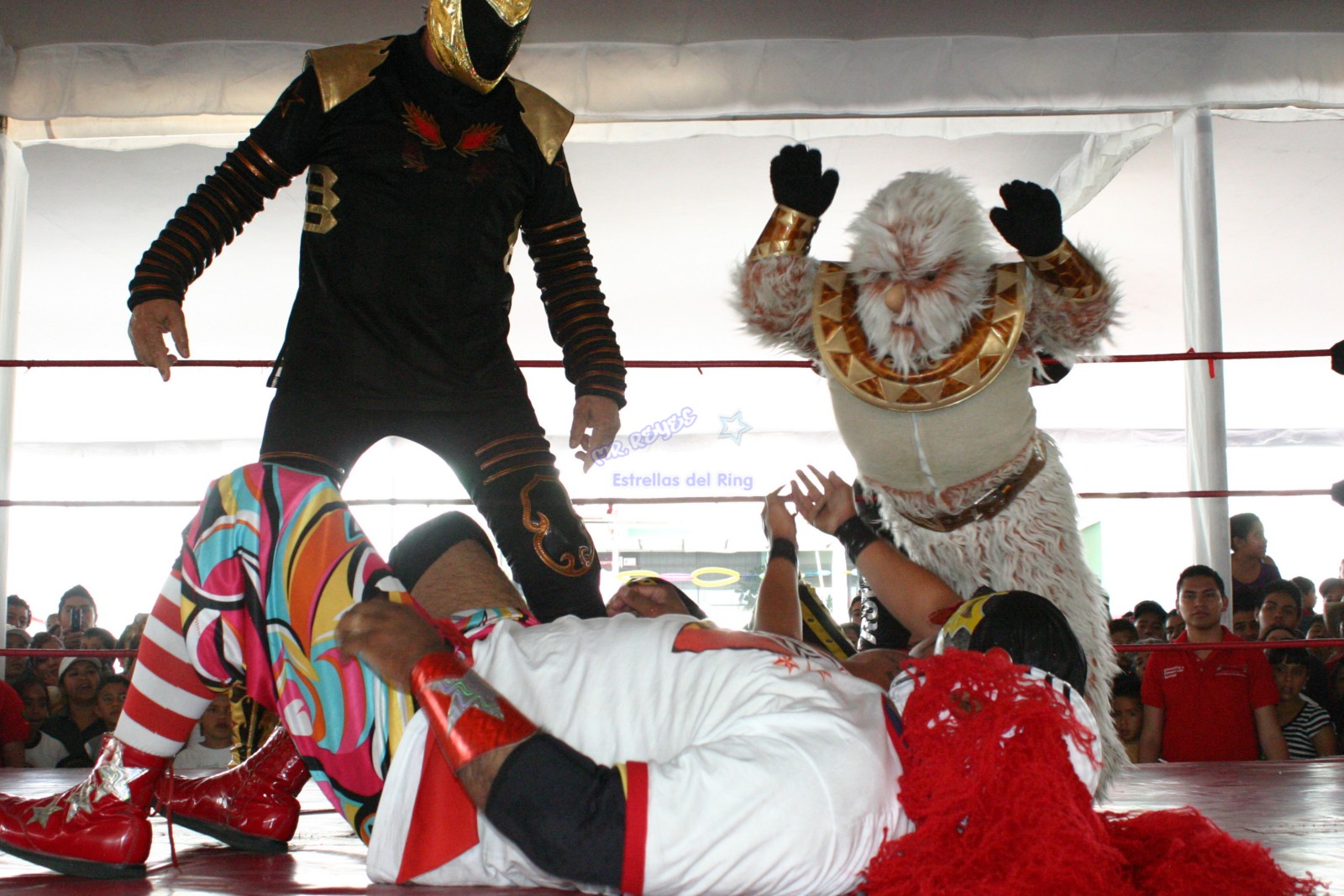 Alushe - JungleKey.es Imagen