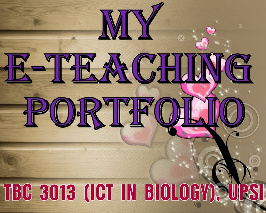 MY E-TEACHING PORTFOLIO: My Teaching Philosophy