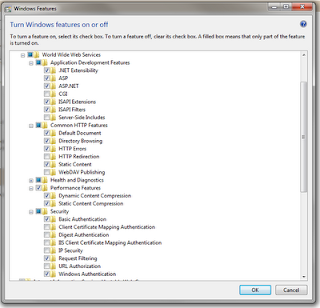 How to Install Iis on Windows | czetsuyatech