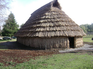 ciudadanasigloxxi: INAUGURACION RUCA MAPUCHE EN LA PINTANA