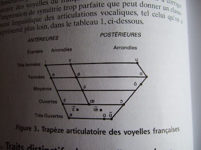 Blog de lecture: Trapèze articulatoire des voyelles