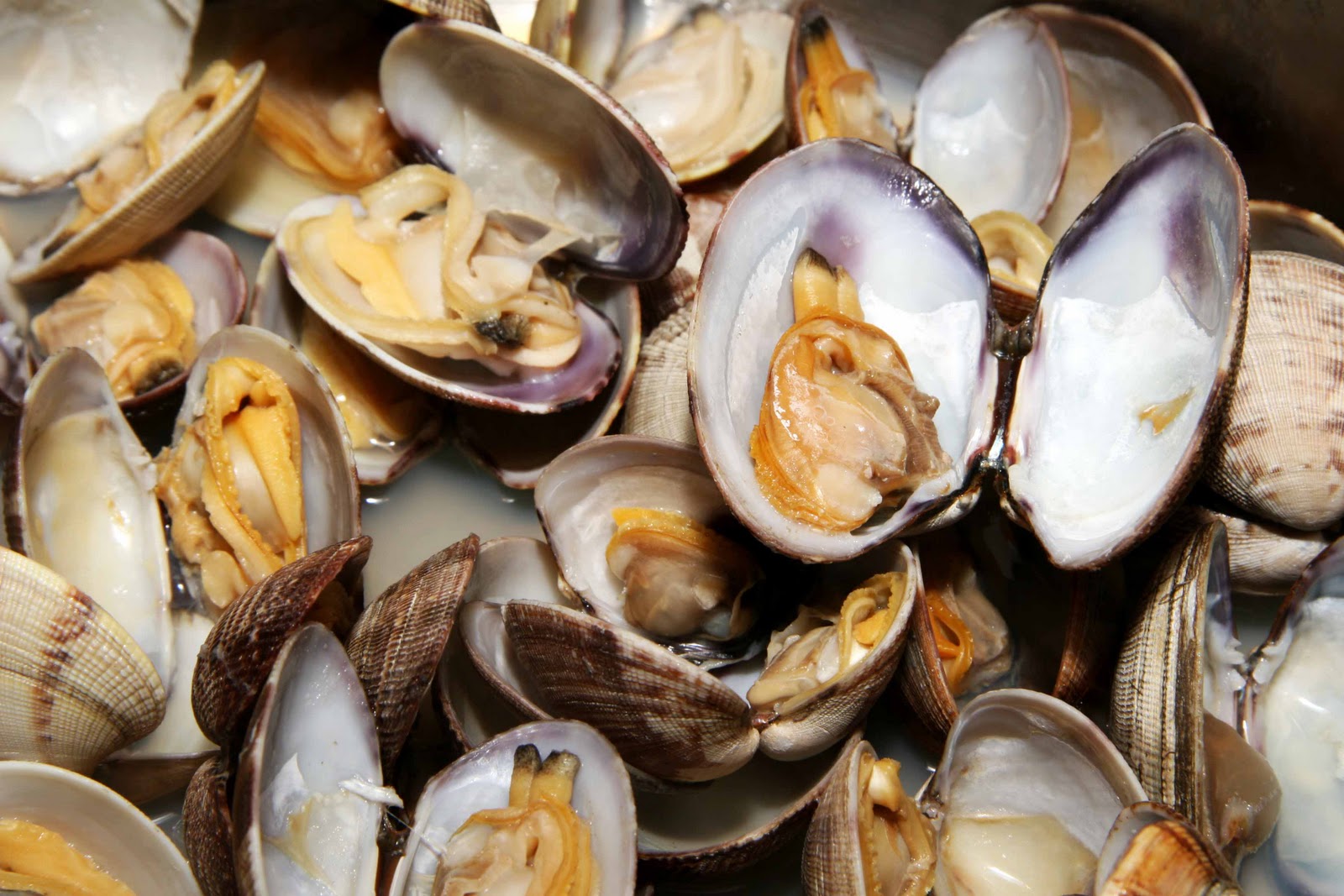 Romero y Azafran: Merluza con Almejas en Salsa Verde