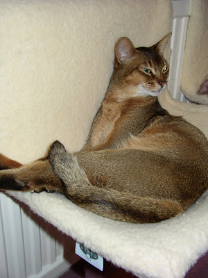 Devizes Melting Pot: 12/01/2006 - 01/01/2007