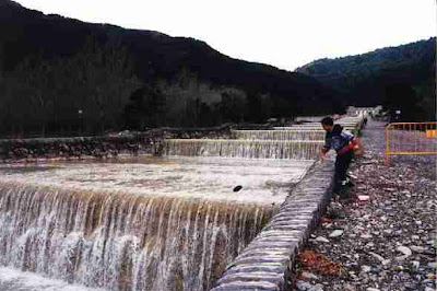 Emilio y los tresefes: LA INUNDACIÓN DE BIESCAS