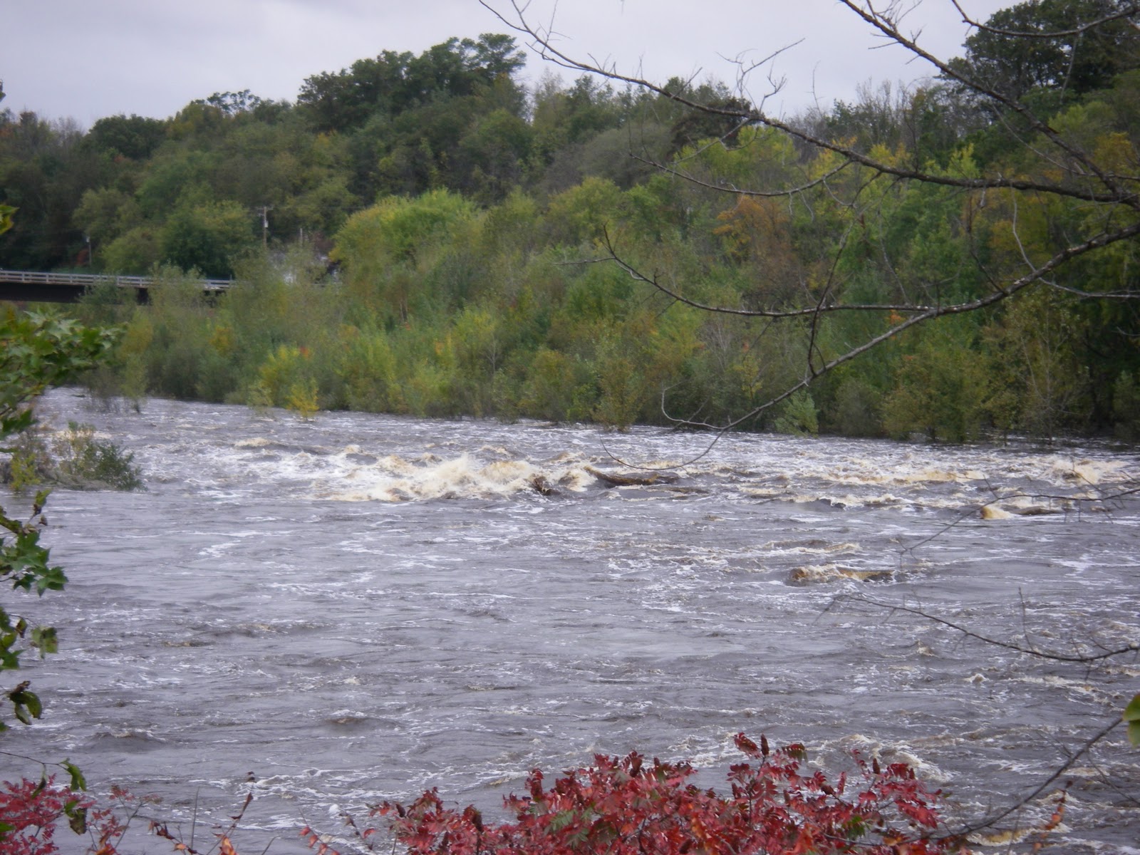 Jim Falls Whitewater: January 2011