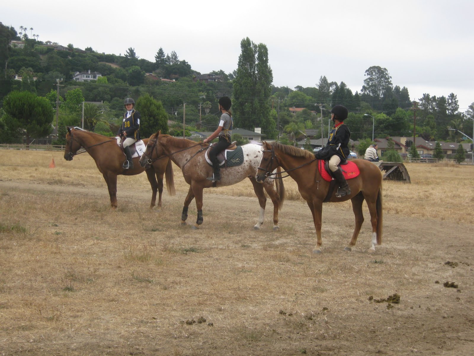 Live Laugh Ride: The Next Generation of Horsey People