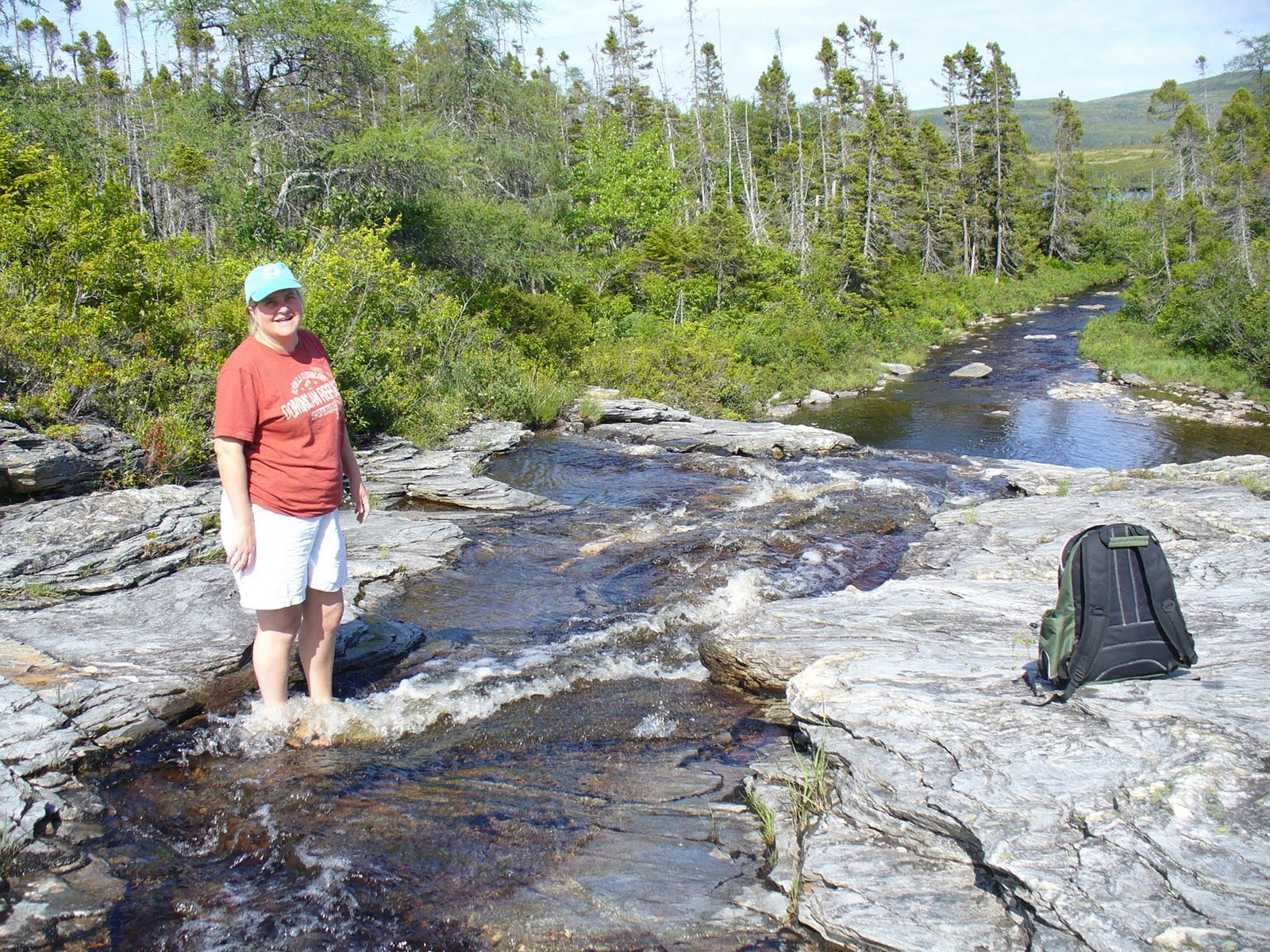 SV Sunflower goes North