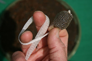 Smart Carping Blog - Coaching Online: HOW TO: Use PVA Mesh