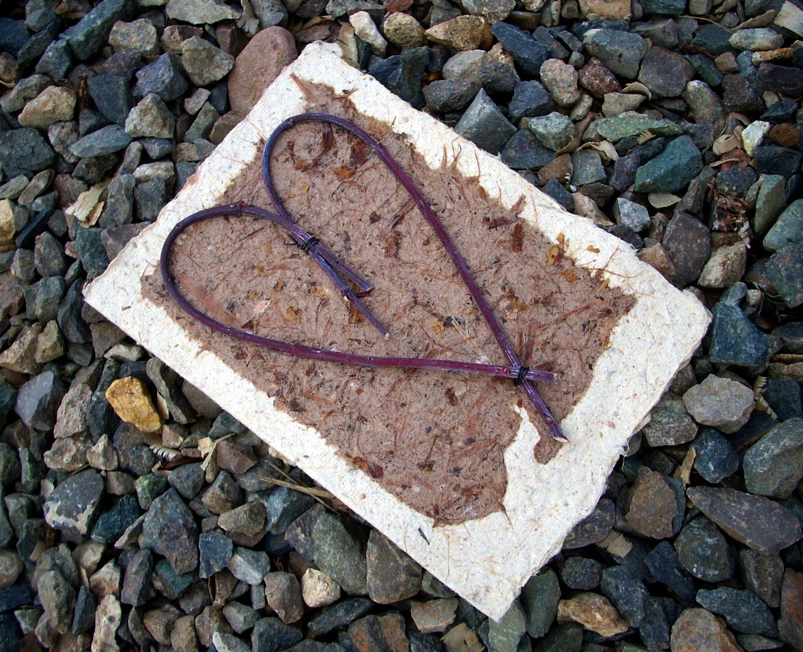 Liz-Anna's Studio: Gathering Willow