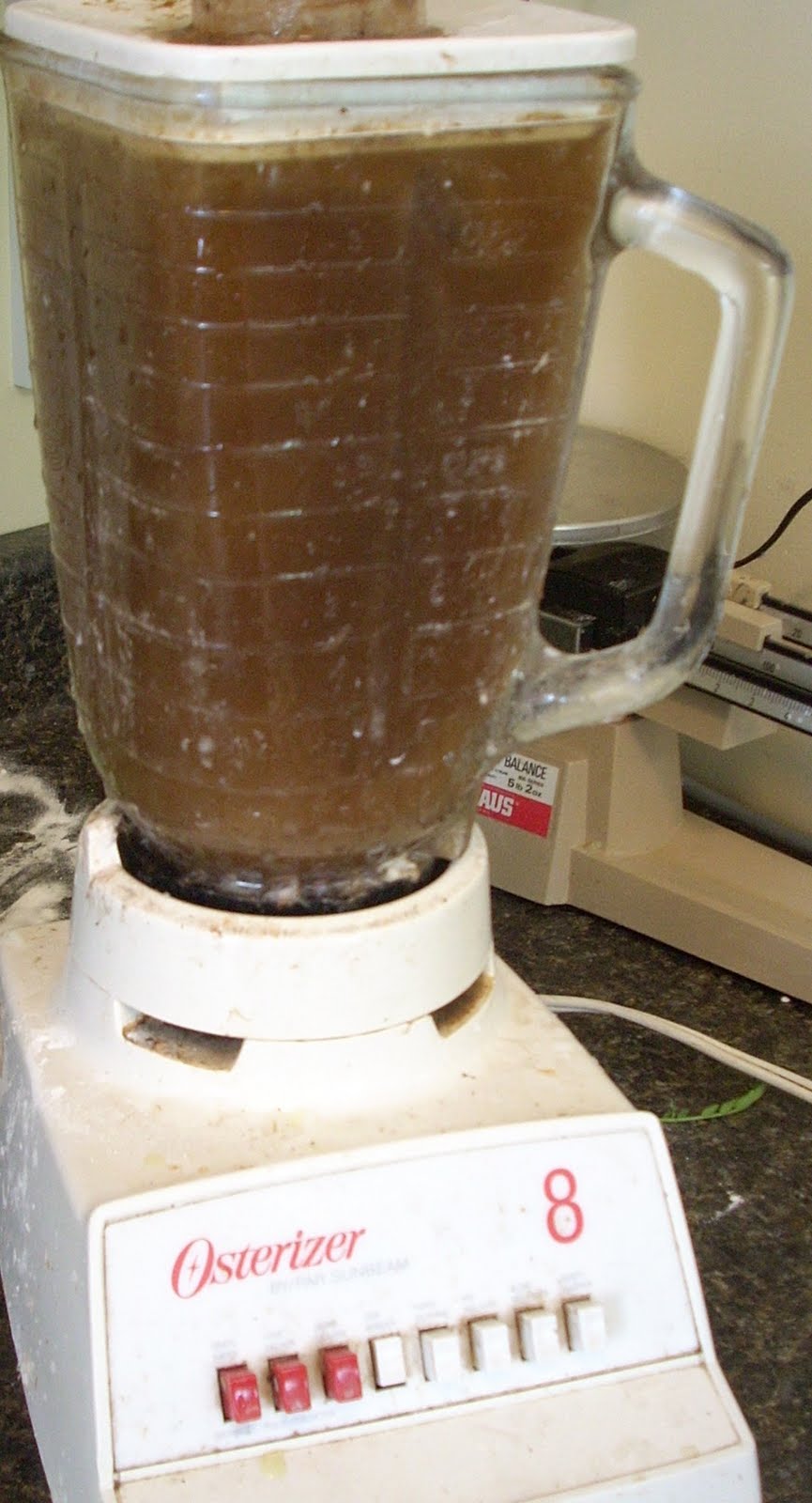 Liz-Anna's Studio: Make Your Own Paper from Plants