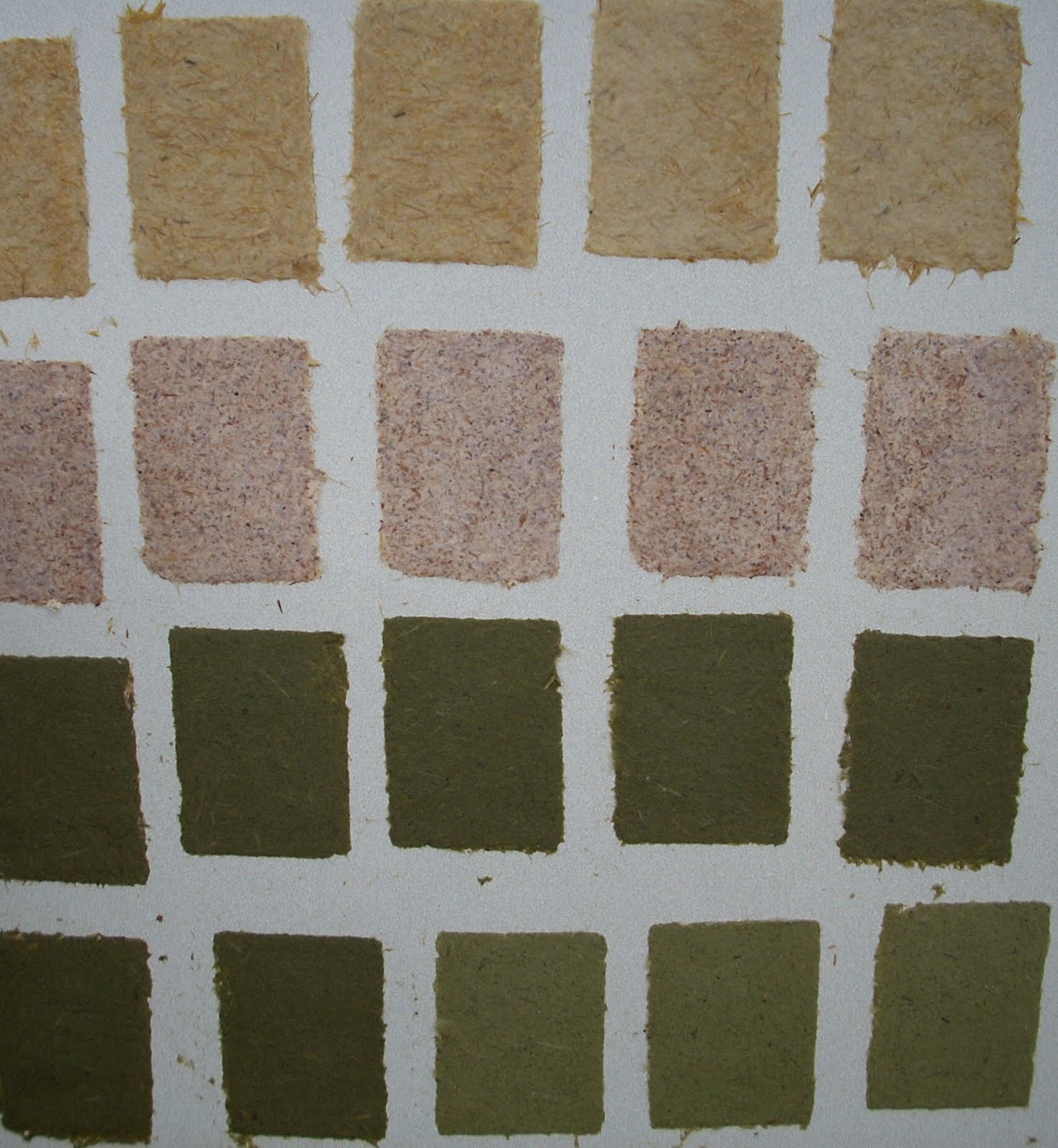 Liz-Anna's Studio: Make Your Own Paper from Plants