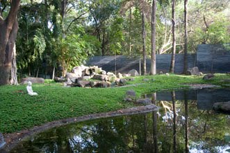 OSHO bytes: Osho International Meditation Resort: A Rejuvenating Green ...