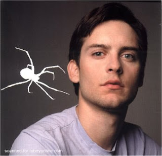 Free Picture: Tobey Maguire Pictures