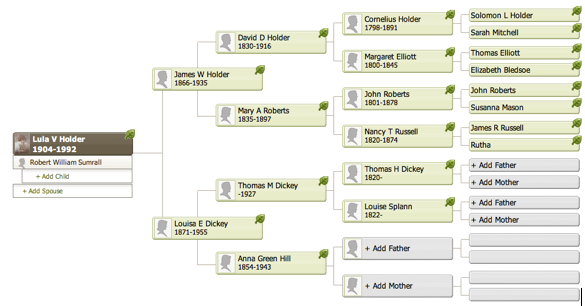 Sumrall Holder Vining