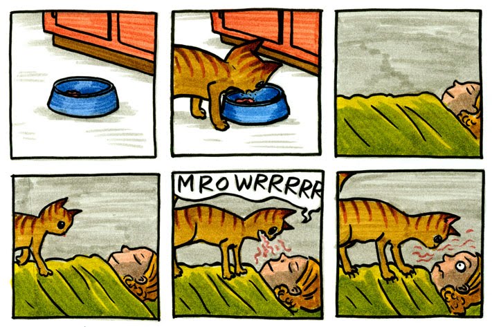 Jeffrey Brown Comics: SALMON CAT