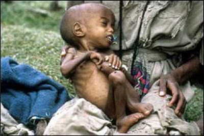 Cre8tive N3rd: Starvation in India?