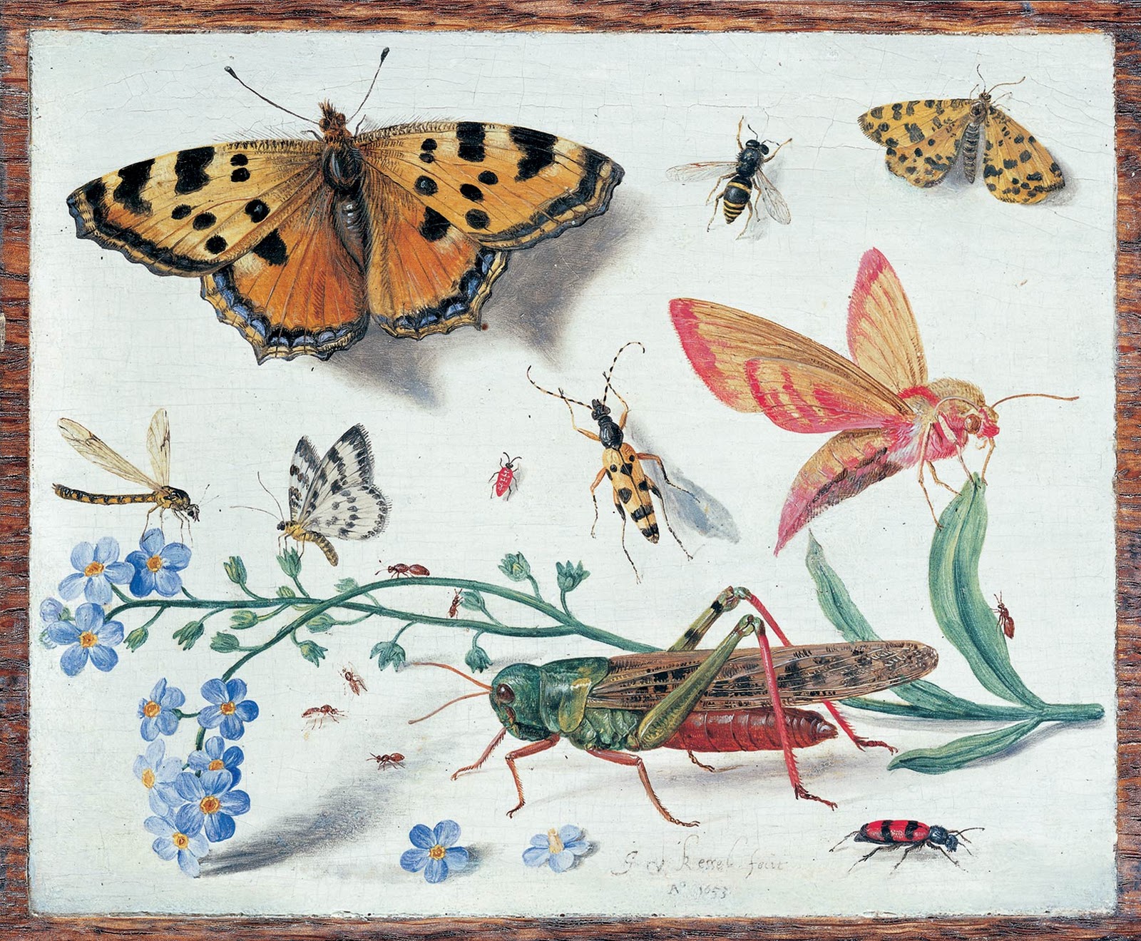 art&insects: Jan Van Kessel
