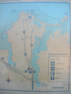 Birding Connecticut: Bluff Point State Park, Groton